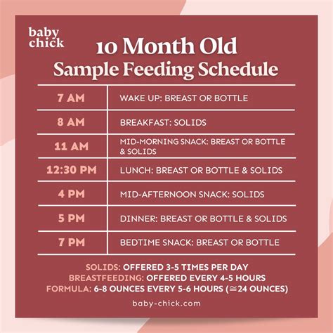 10-Month-Old Baby: Feeding, Sleep, and Milestones by Month - Baby Chick ...