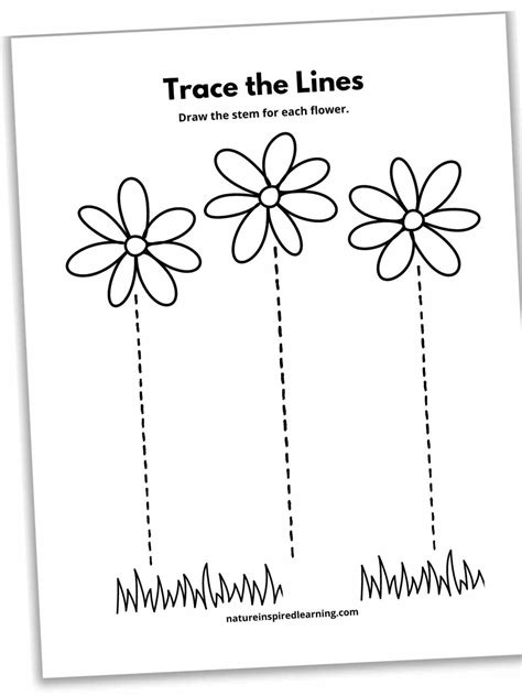 17 Line Tracing Worksheets (Free) - Nature Inspired Learning ...