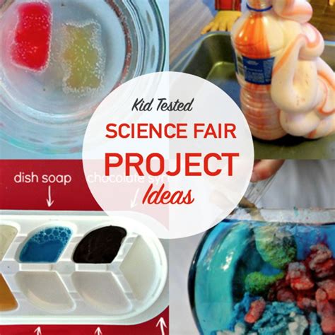 25 Totally Awesome Science Fair Project Ideas For Kids - Auto News