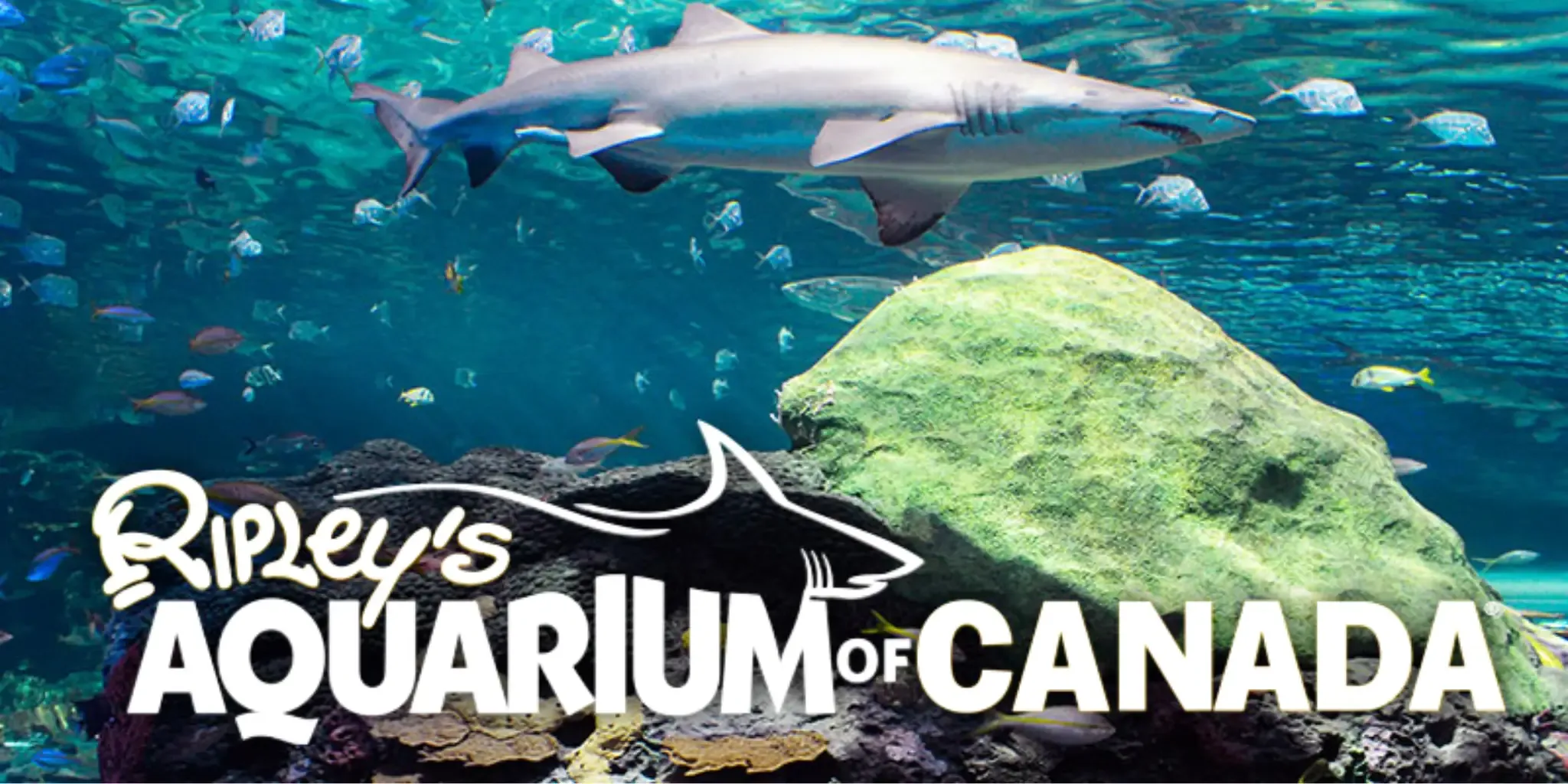 Aquarium - The Oceanarium and Education Center - Auto News