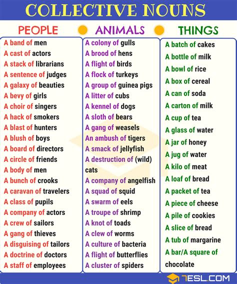 Collective Noun: Definition, List & Examples of Collective Nouns in ...