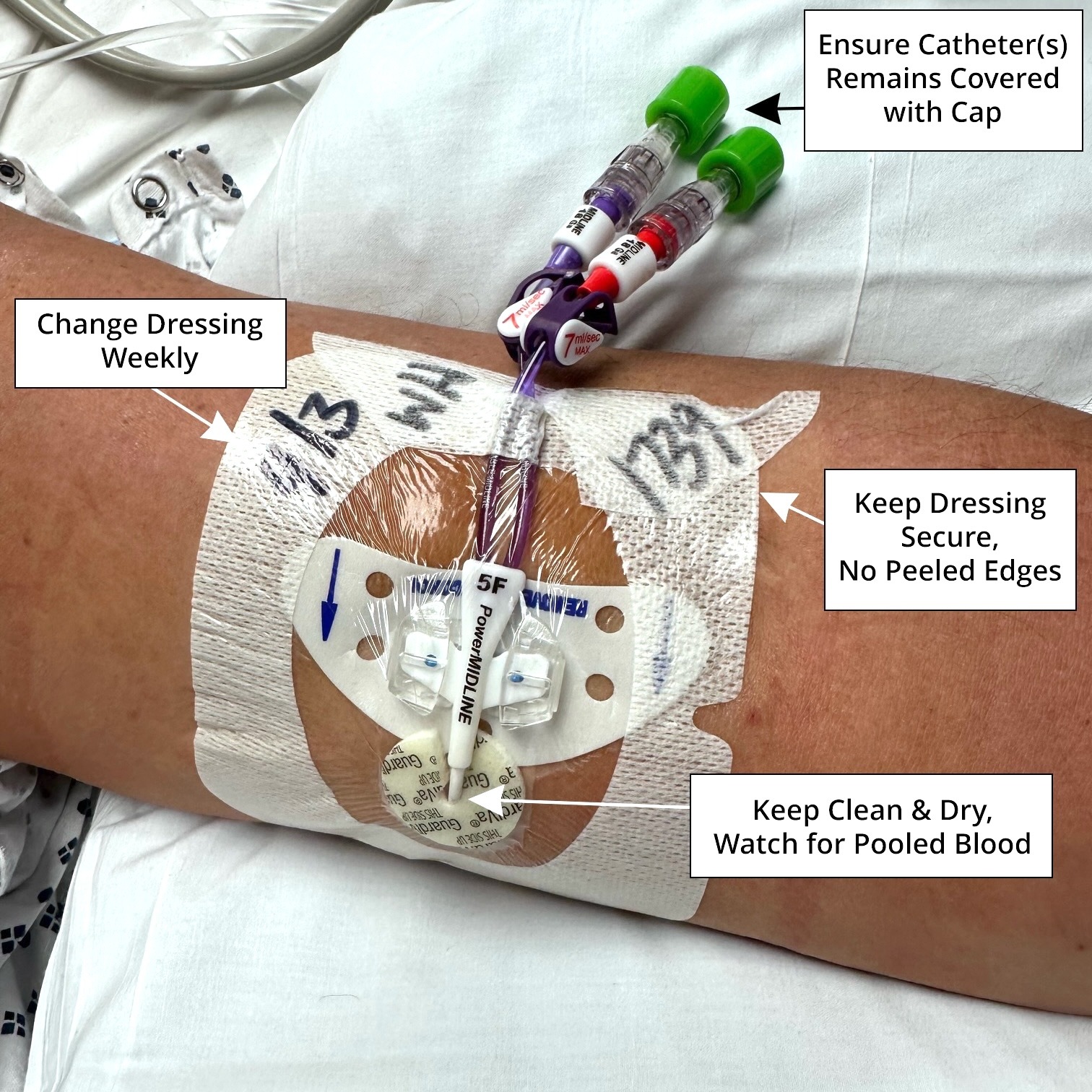 CVC Short 'a' reading sentences and phrases for kids. esl in 2025 ...