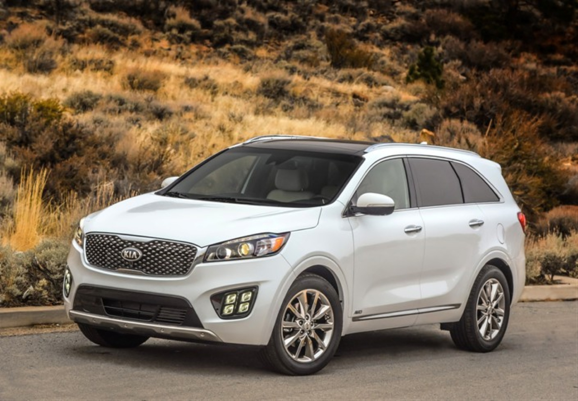 Kia Telluride Recall: Safety Alert for 427K U.S. Units - DAX Street ...