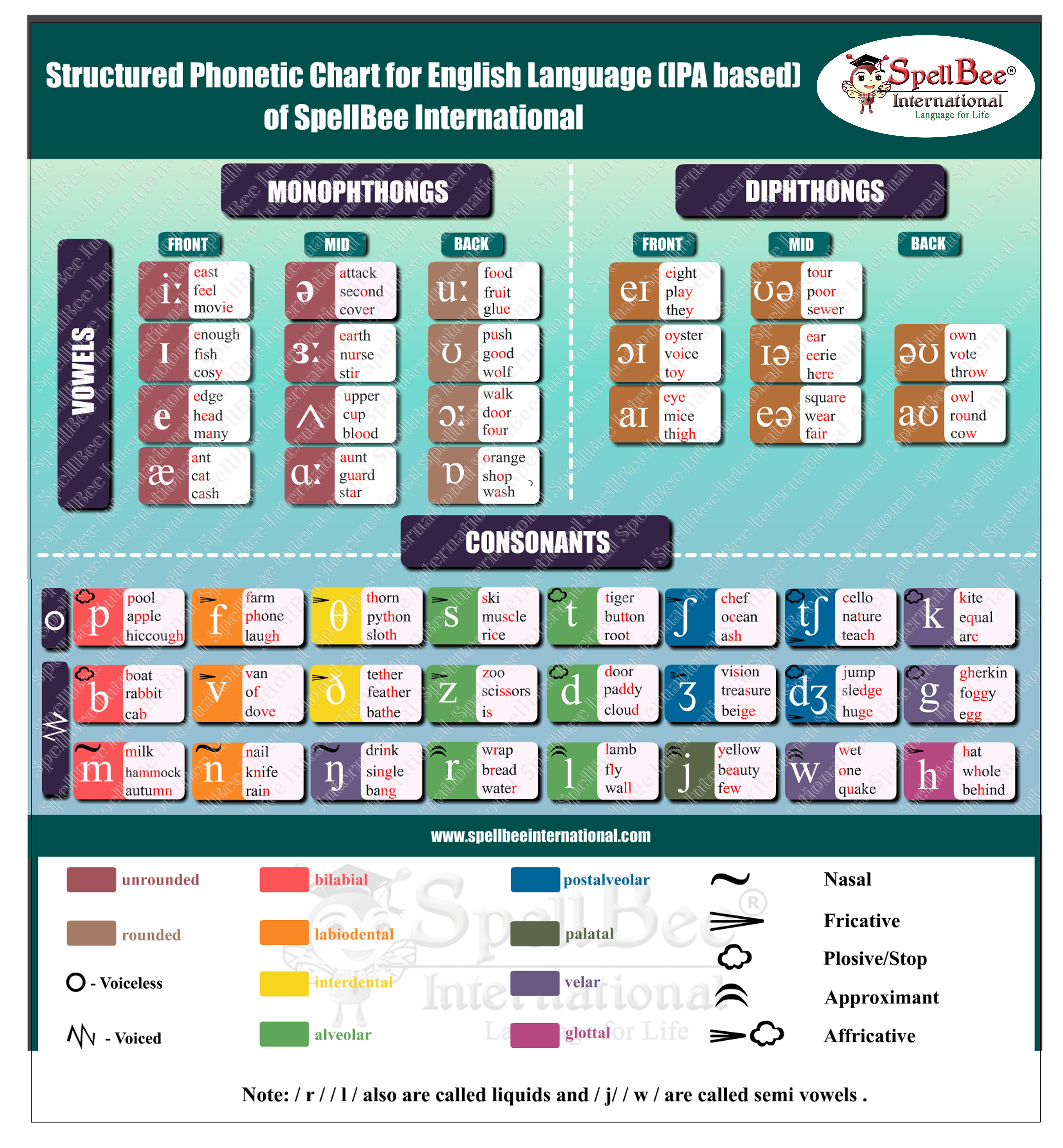Phonemic Awareness: Elkonin Boxes for Segmenting Sounds - Etsy Canada ...
