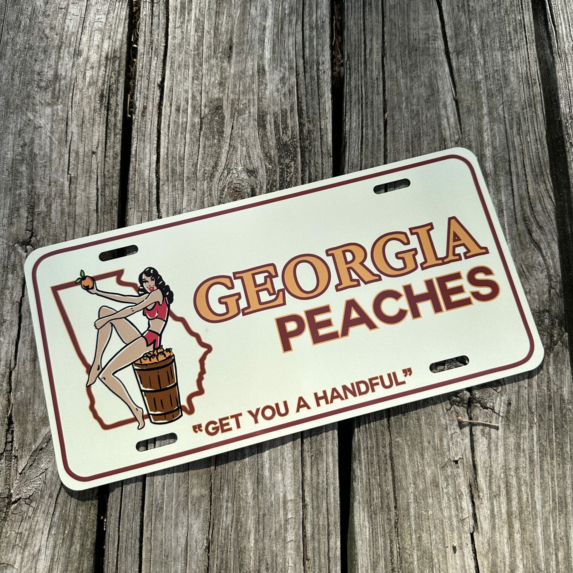 Everything You Need to Know About Georgia Vanity Plates - Tech News Hub