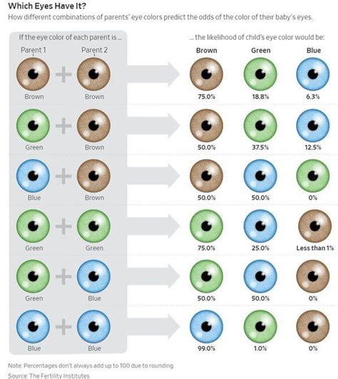 Punnett Square Calculator Eye Color - Auto News