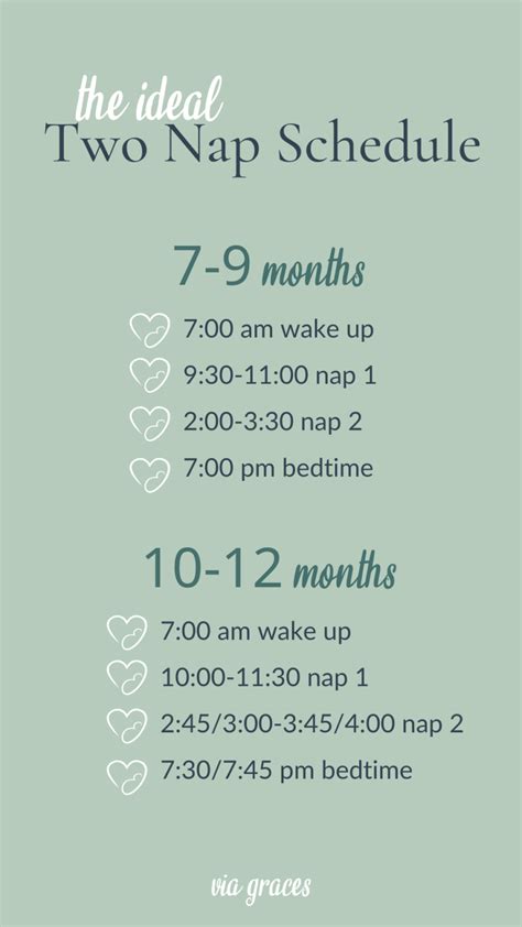 When to Transition to Two Naps and a Clock-Based Schedule | Via Graces ...