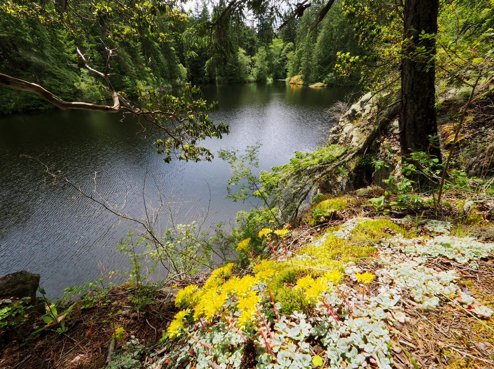 WTA announces new routes and service changes | Bellingham Herald - Auto ...